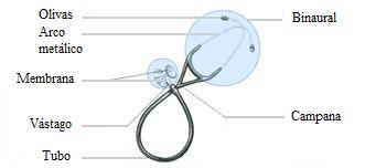 Partes Del Fonendoscopio El Blog De Girodmedical