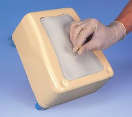 Lomo de prácticas para inyecciones lumbares epidurales W19334 à 1.687,95