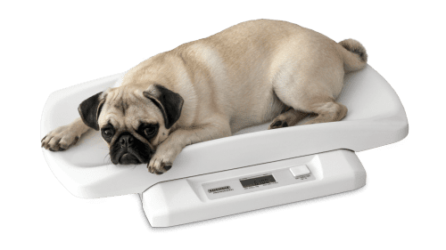 Pesa-animales Pet de Soehnle 8352 a precio de 187,55